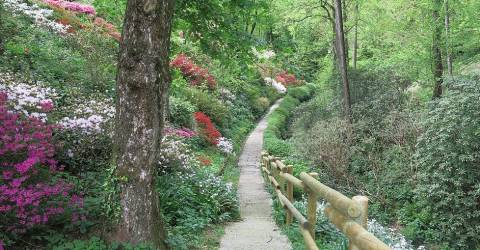 Viatorijev vrt dobil digitalno vodeno pot