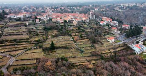 V kontovelskem bregu bodo dela začela septembra