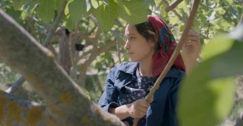 Pod figami se upi in sanje ne uresničijo