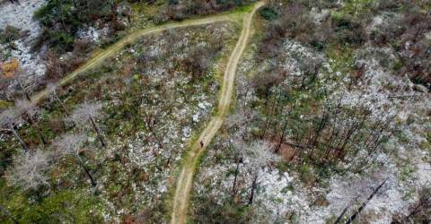 Goriški camino povezuje Oglej in Sveto Goro