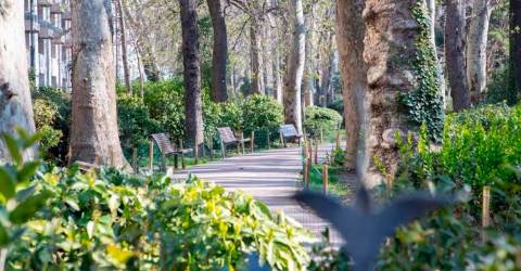 Občina Trst zaradi slabega vremena jutri zapira mestne parke