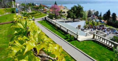 V Opatiji slavnostno odprli prenovljeni Ameriški vrt