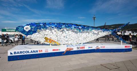 Sardon - simbol Barcolane 50+1