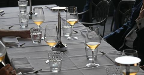 Na devinski grad prihaja kraška kraljica