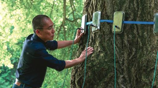Na Tržaškem filmskem festivalu nocoj sklepna slovesnost