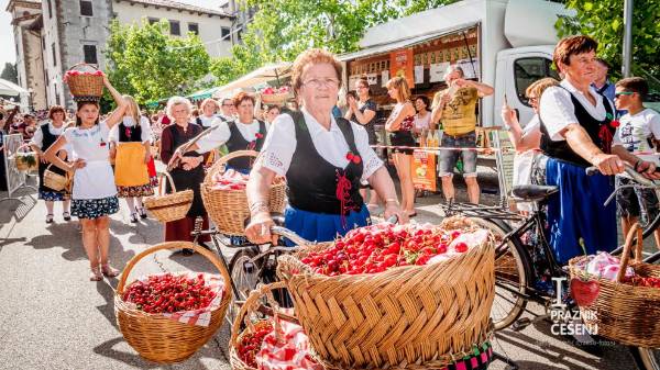 56. tradicionalni praznik češenj v Brdih (Slovenija)