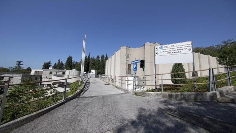 V prenatrpanih avtobusih ni prostora za znanstvenike