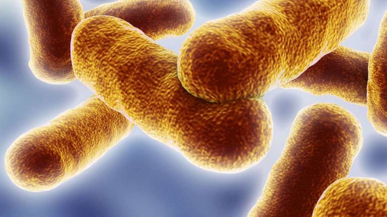 Nov primer tuberkuloze