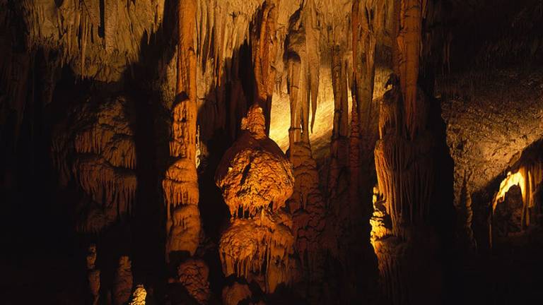 Postojnska jama ne more biti naprodaj!